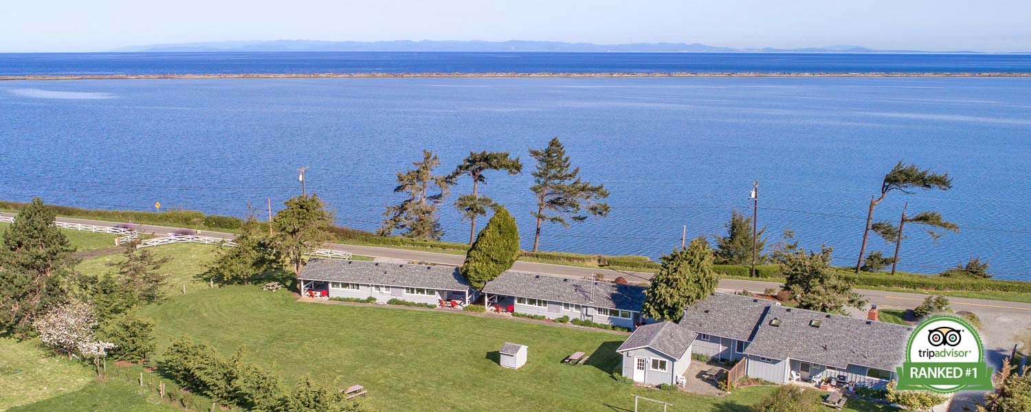 #1 BEST TripAdvisor Sequim WA Lodging, Dungeness Cottages