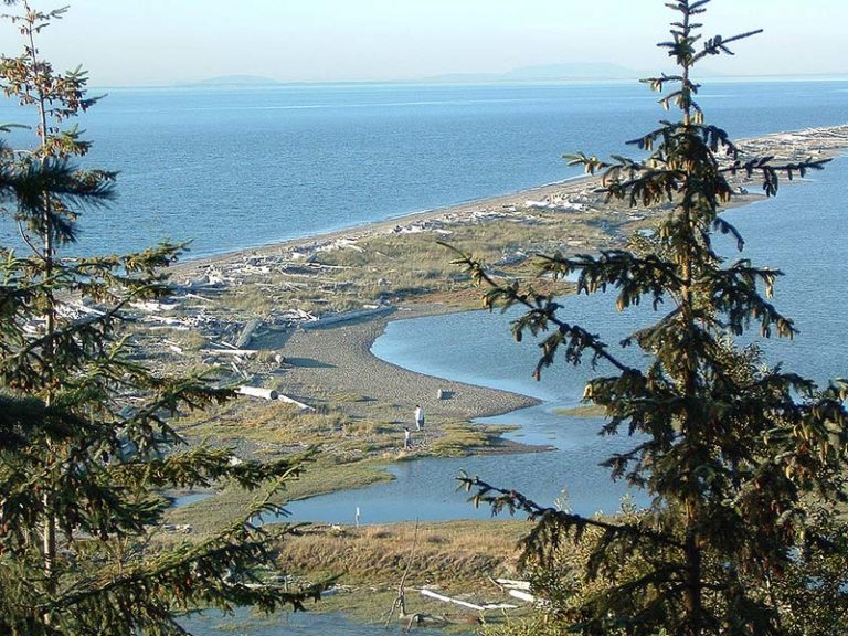 7 Fun ways the Dungeness Spit is worth a visit this summer
