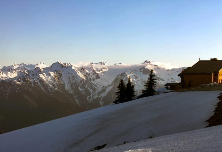 The 10 Best Things to do in Sequim this Winter