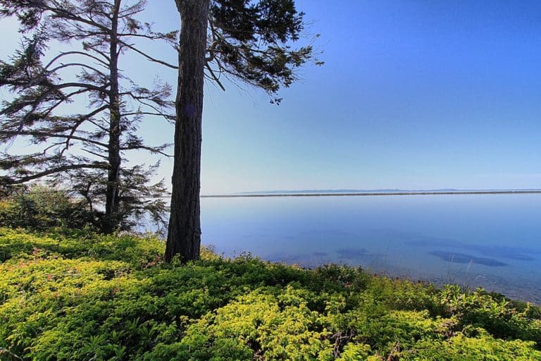 The 10 BEST Things to Do in Sequim this Summer 2025